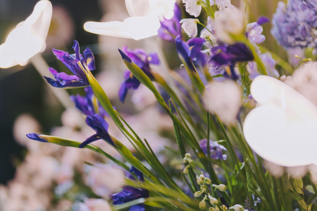 Hong Peng & Hoong Mun - St Regis