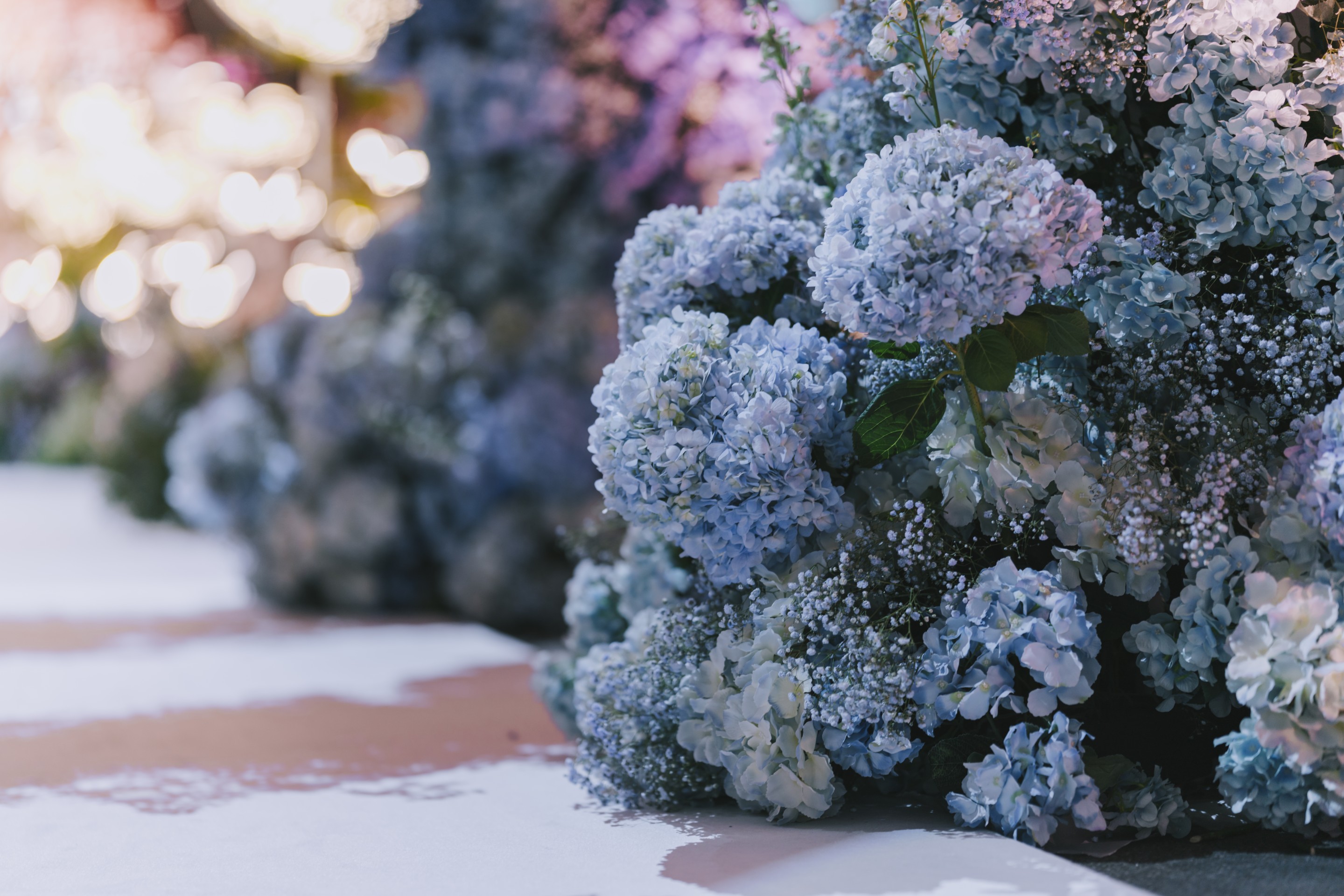 Hong Peng & Hoong Mun - St Regis